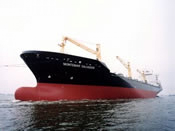 Mid-sized boxships are under pressure - MundoMaritimo