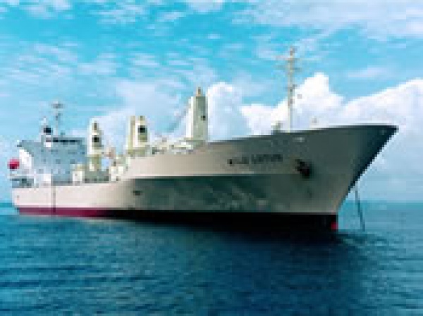 Refrigerated vessels shipping joint venture cleared by EU - MundoMaritimo