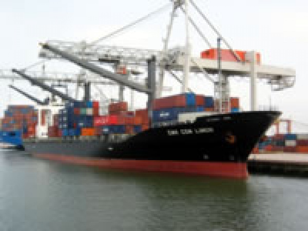 Box lines partner on Europe-South America loops - MundoMaritimo