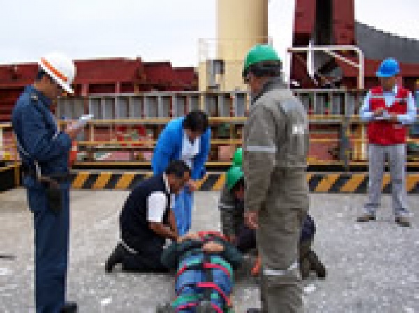 Punta Padrones obtiene certificación ISPS - MundoMaritimo