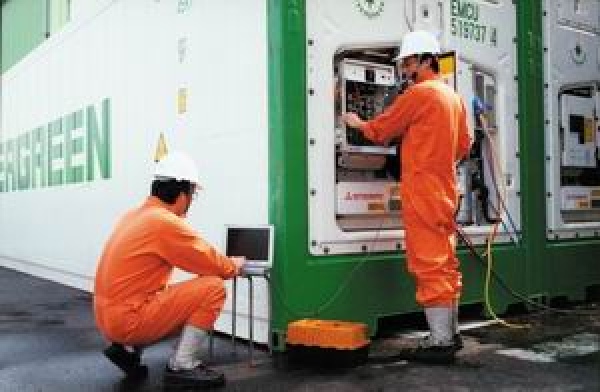 Evergreen improves reefer efficiency with PrimeLINE units - MundoMaritimo