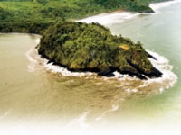 Proyecto portuario en Monkey Point sigue en planos - MundoMaritimo