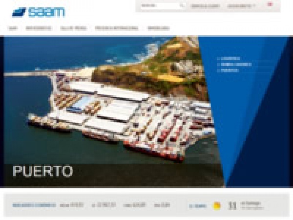 SAAM lanzó renovado sitio web con mayor accesibilidad a contenidos ...
