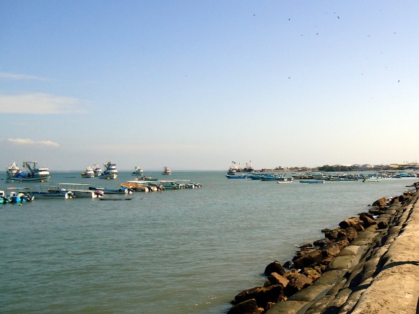 DP World pagará del 1% al 3% del ingreso bruto operado en 45 años de ...