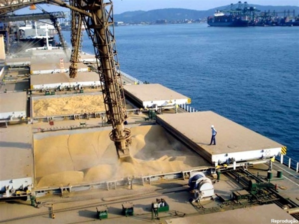 Safras & Mercado proyecta récord de 79 millones de T/M en exportaciones ...