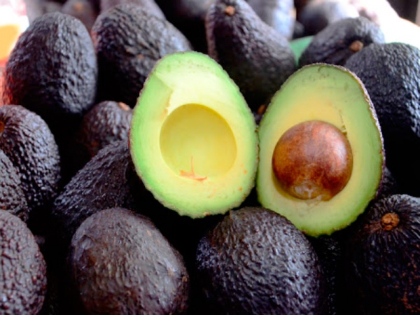 Australia autoriza el ingreso de paltas frescas de la variedad Hass ...