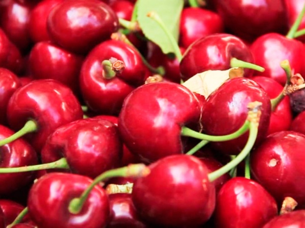 Exportaciones de fruta chilena cayeron un 7% en volumen y un 12% en ...