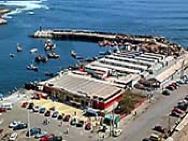Aceleran traslado del Terminal Pesquero en Antofagasta - MundoMaritimo