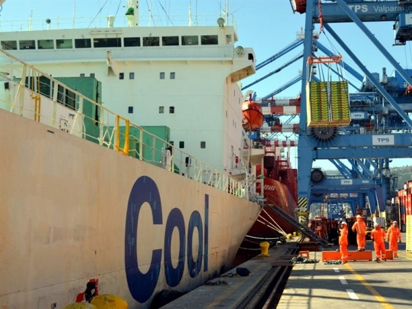 Cool Carriers programa servicio quincenal desde los puertos de ...