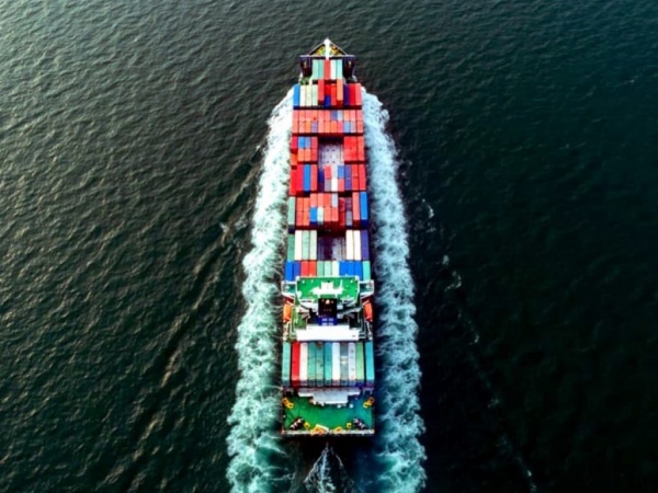 Líneas navieras obtienen beneficios extraordinarios en 2021, pese a ...