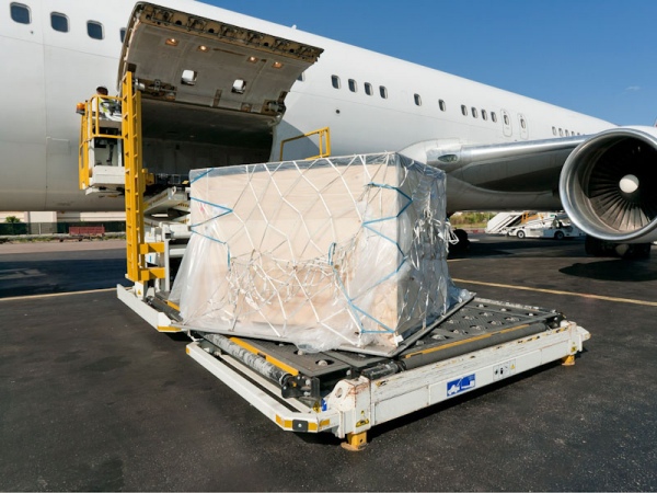 IATA: Líneas aéreas de Latinoamérica registran aumento del 9,2% en los ...