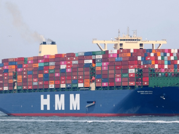 Accionistas de HMM buscan vender participación mayoritaria a través de ...