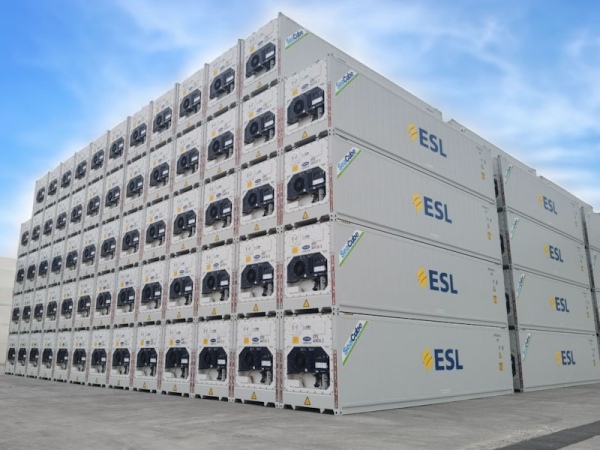 Emirates Shipping Line incorpora mediante leasing 300 contenedores ...