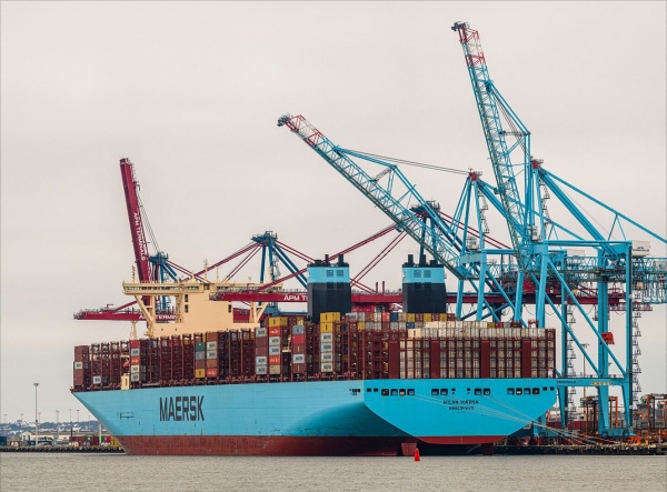 Maersk fue la línea naviera con los itinerarios más confiables en ...